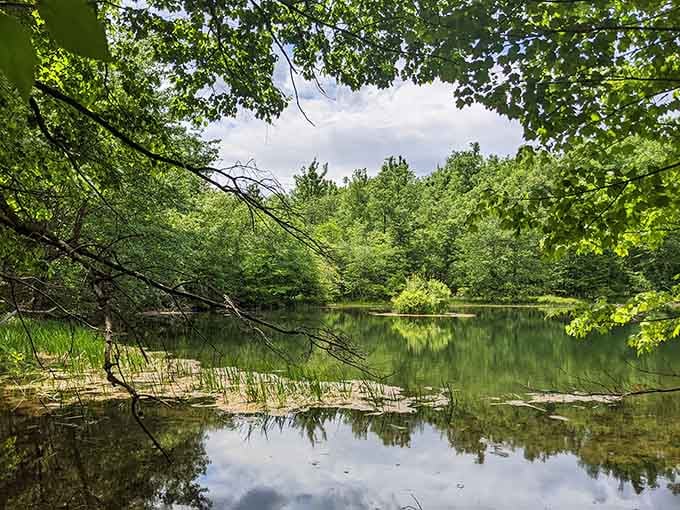 The park's serene lake reflects the sky so perfectly, it's like nature installed its own mirror.