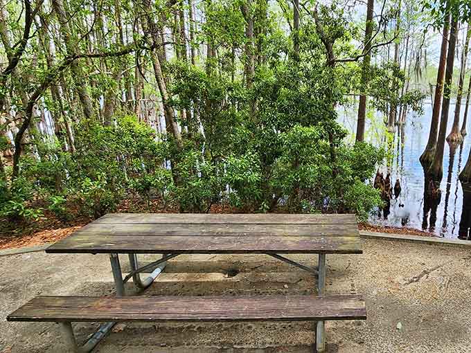 Grab a bench by the water's edge and watch the world slow down to a pace your grandparents would recognize.