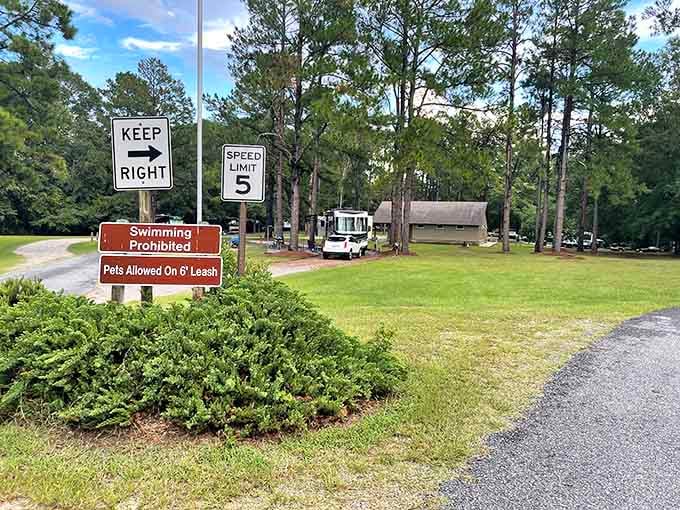 Even paradise has rules, but at least these ones make sense and keep everyone happy.