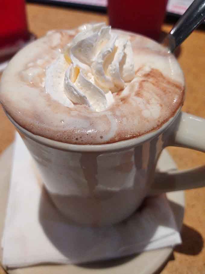 Hot chocolate topped with whipped cream that looks like it belongs in a Norman Rockwell painting of perfect comfort.
