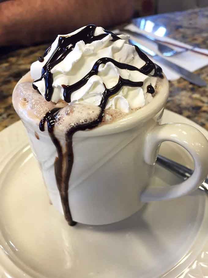 Whipped cream piled higher than your retirement account should be, drizzled with chocolate like edible art in a mug.