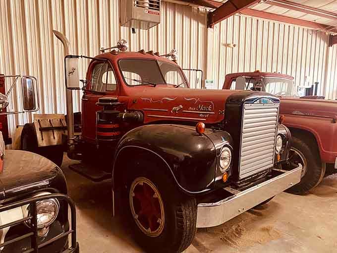That distinctive sloped nose design made these trucks instantly recognizable from a mile away on any highway.