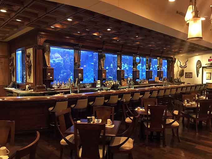 The bar stretches along that stunning aquarium, making every cocktail come with a complimentary underwater light show.