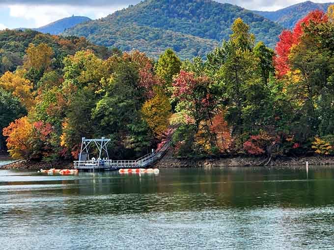 Fall colors frame the lake like nature's own gallery opening, except the admission is free and the views never get old.