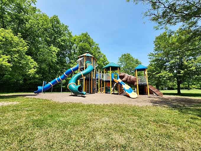 Cascade Park's playground is where local kids burn off energy while parents contemplate their life choices nearby.