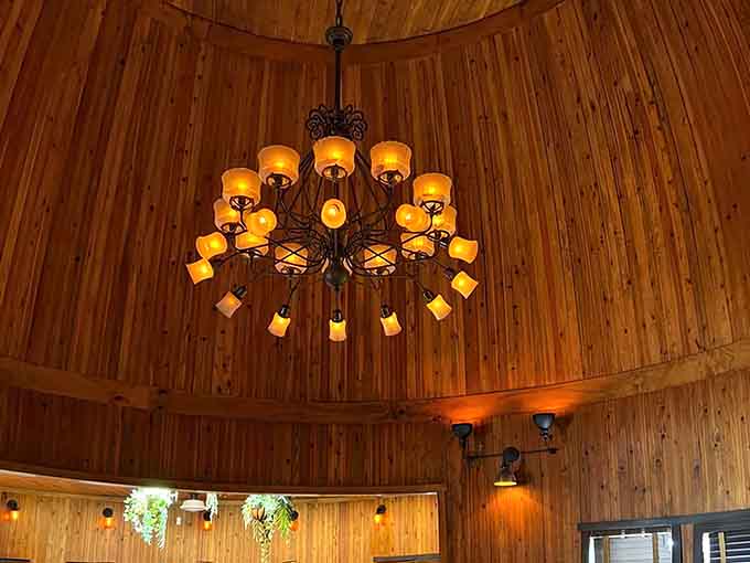 Even the chandelier seems to understand it's part of something special, casting warm light across those beautifully curved walls.