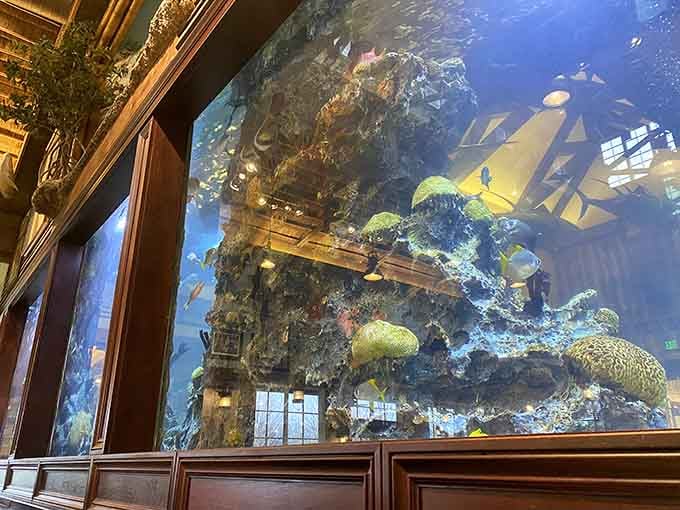 That massive aquarium structure with coral and tropical fish creates an underwater world you can admire between bites of grouper.