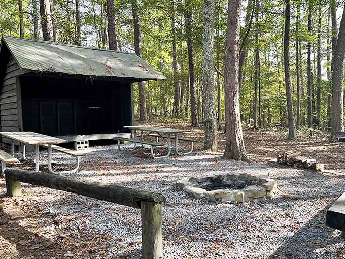 Your campsite comes with a shelter, fire ring, and the kind of silence money usually can't buy.