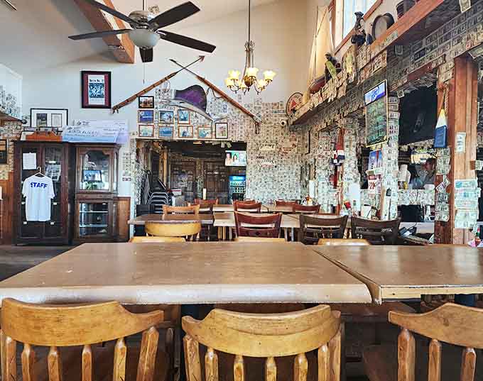 High ceilings and dollar bills create an atmosphere that's part museum, part party, all welcoming.