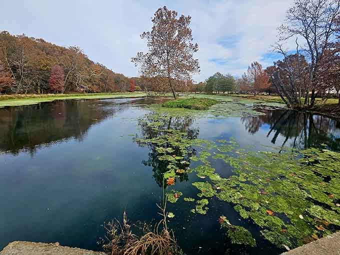 The mill pond reflects autumn colors like nature's own mirror, no filter needed to make this scene worth capturing.