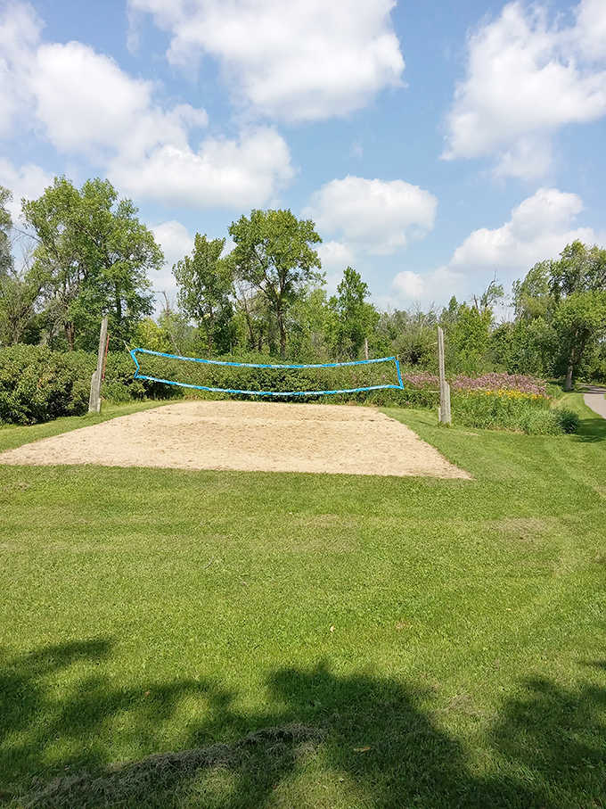 Volleyball courts where the only thing you're spiking is your heart rate and maybe your competitive spirit from decades past.
