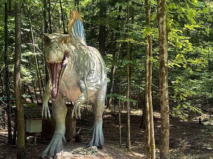 This Spinosaurus lurks among the forest shadows, creating that perfect blend of education and delightful prehistoric terror.