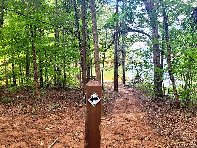 Trail markers pointing toward lakeside bliss, because getting lost has never looked quite this appealing before now.
