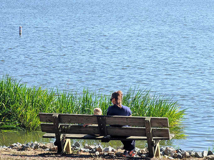 Lakeside contemplation happens naturally here, where benches offer front-row seats to nature's daily performance absolutely free.