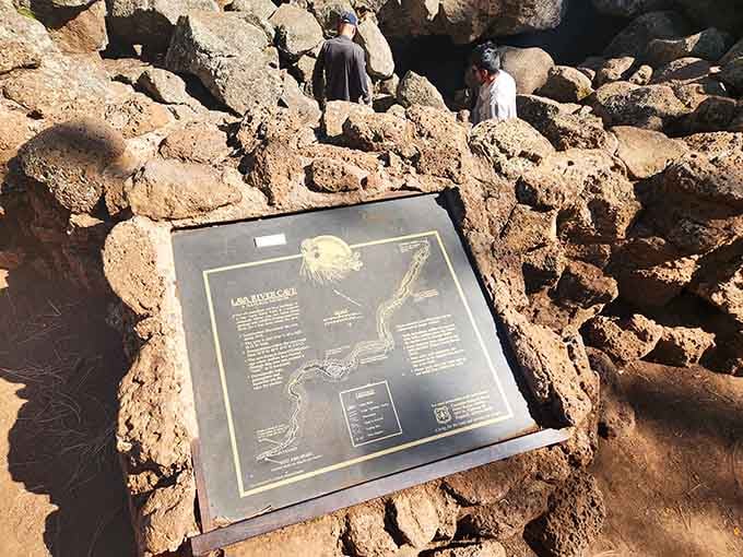 Read up before you descend, because this interpretive sign contains crucial information for your underground expedition ahead.