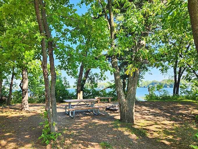 Allemansr&auml;tt Park's picnic spots overlook the lake, offering views that make you forget your phone exists for approximately twelve blissful minutes.