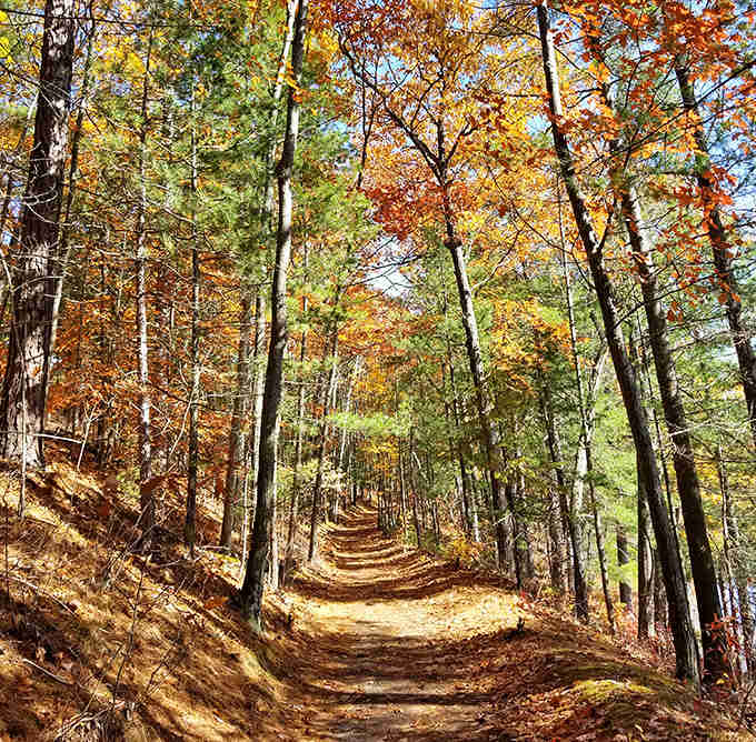 The trail beckons with that perfect autumn light, promising adventure without requiring a sherpa or trust fund.