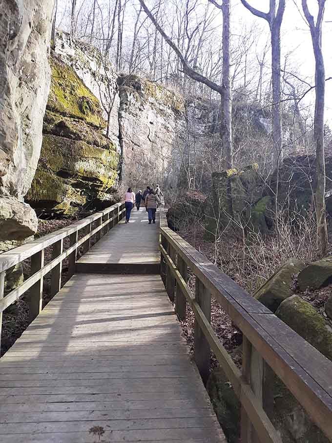 The boardwalk curves through ancient rock formations, making you feel like an explorer without requiring any actual survival skills or bug spray tolerance.