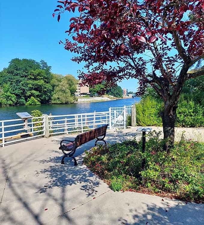 A perfectly placed bench under a gorgeous tree &ndash; someone really understood the assignment when designing this spot.