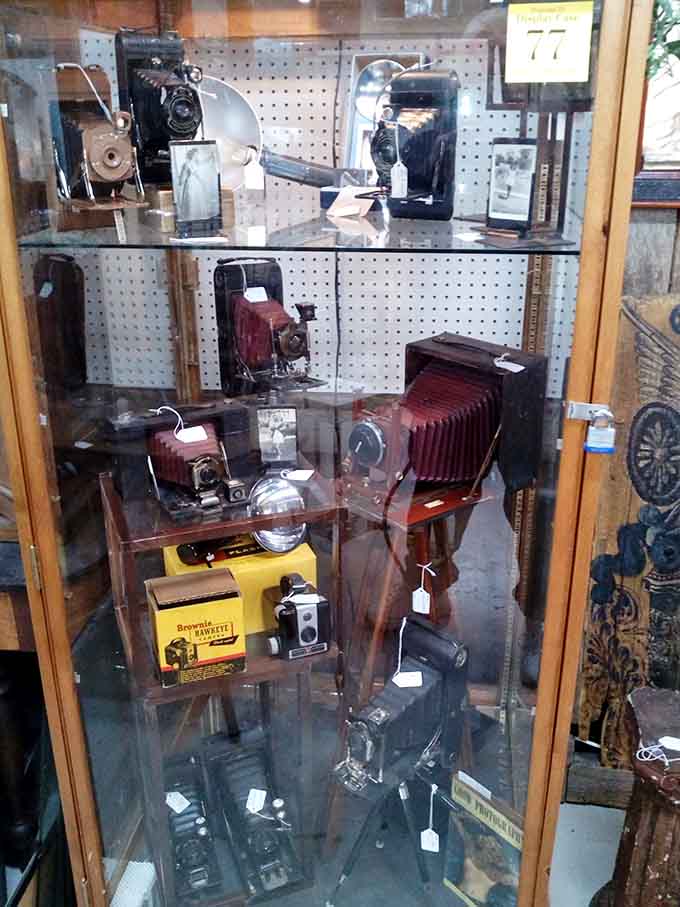 Antique cameras behind glass, back when taking photos required actual skill and patience, not filters.