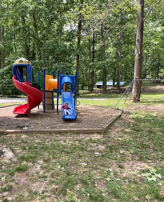 Community parks with playgrounds remind us that simple pleasures never really go out of fashion or style.