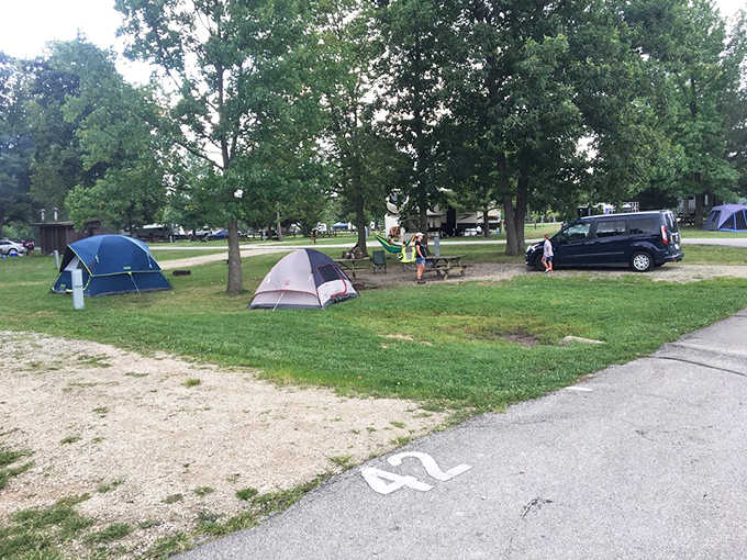 Community camping brings neighbors together faster than any block party, minus the awkward small talk about weather.