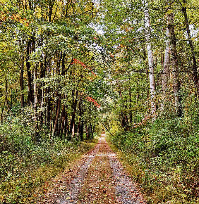 This trail beckons like the road less traveled, except it's well-maintained and won't get you lost.