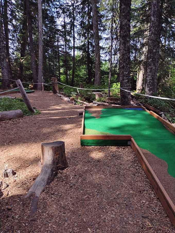 Mini golf through the forest where every hole comes with complimentary mountain air and pine scent.