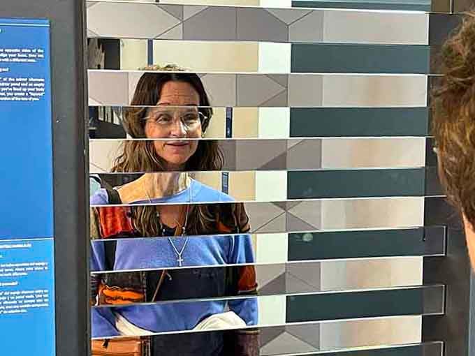 Your reflection just got sliced, diced, and reassembled like a Picasso painting had a baby with a mirror.