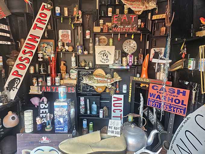 Shelves overflow with Americana treasures, from vintage signs to mysterious jars, creating a visual feast for curious eyes.