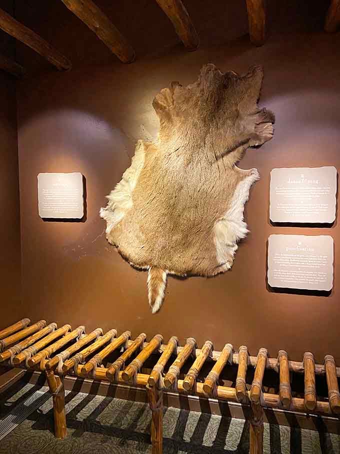 From forest to function, this pelt display shows how resourcefulness was the original sustainability movement.