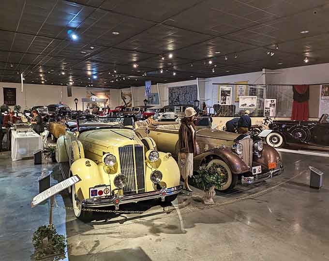 Sweeping showroom views reveal decades of automotive evolution, each car more stunning than the last.