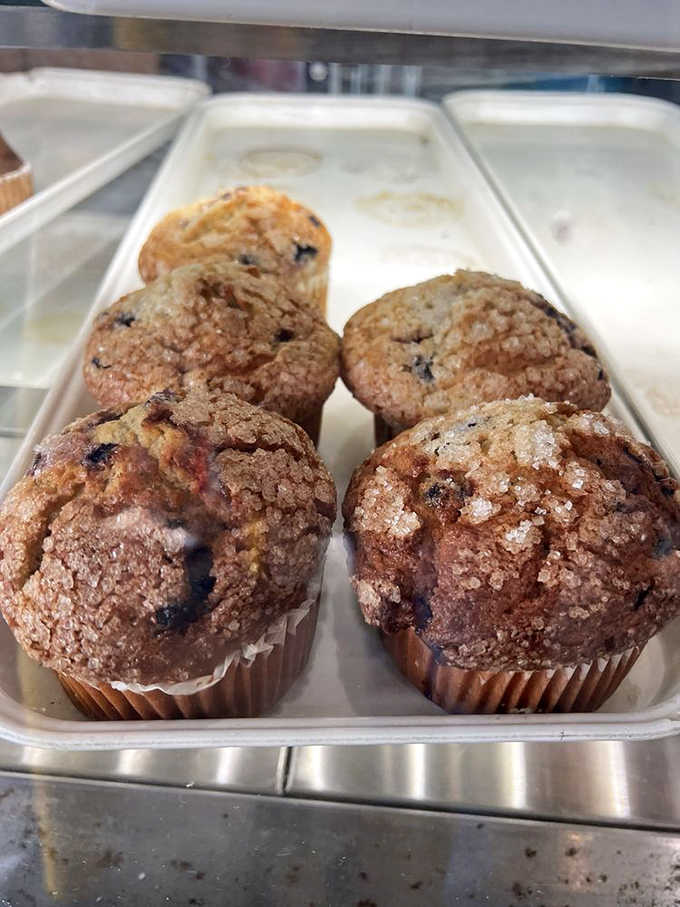 Blueberry muffins with crumb tops so generous they're practically wearing winter coats, ready to make your morning magnificent.
