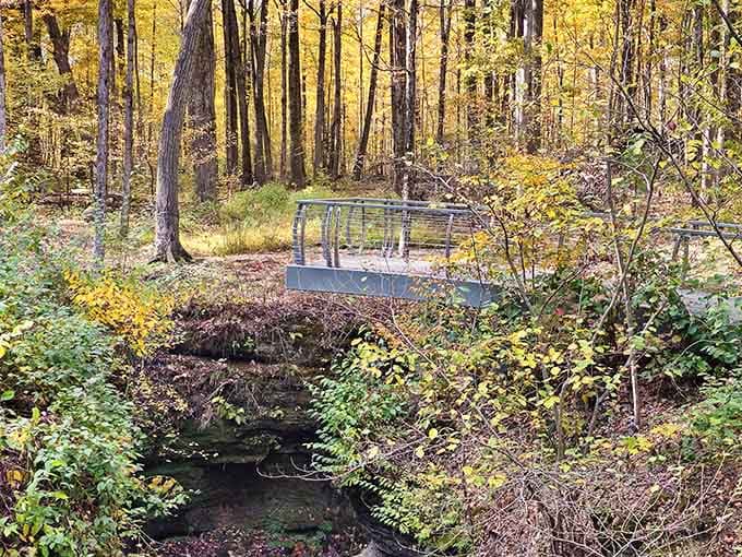 A peaceful bridge offers front-row seats to fall's greatest performance in northeast Ohio.