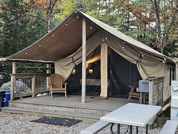 Safari-style tents offering the camping aesthetic without the part where you wake up with a rock in your back.