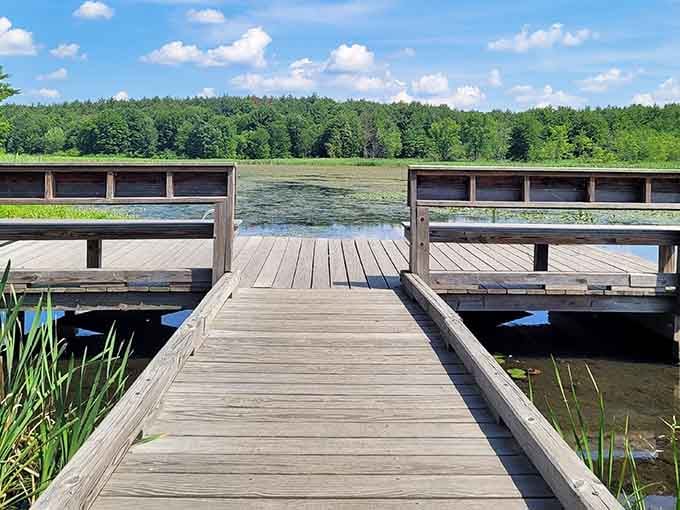 Wooden boardwalks lead into wetlands where wildlife outnumbers selfie-takers, creating the kind of peace money can't buy.