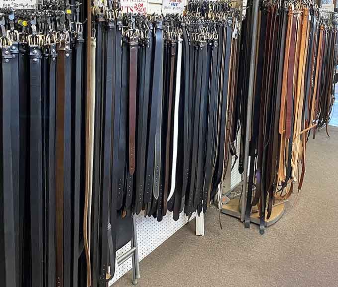More belts than a martial arts dojo, hanging in organized rows ready to hold up someone's pants properly.