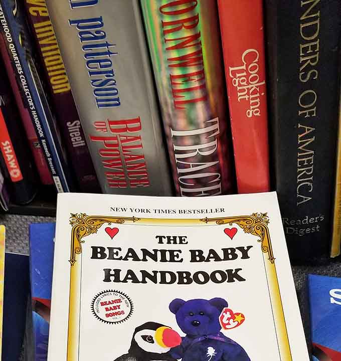 The Beanie Baby Handbook sits among cookbooks and novels, a nostalgic reminder of collecting crazes past.