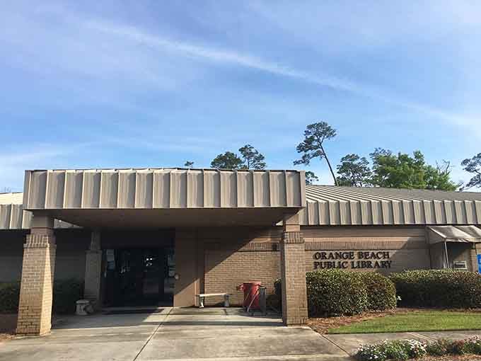 The public library becomes your go-to spot for book clubs, events, and air-conditioned refuge on those steamy summer afternoons.