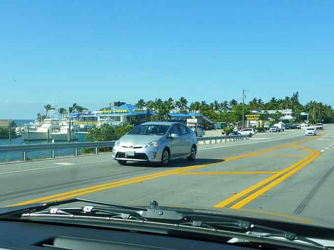 Driving south on US 1 feels less like following a highway and more like following a treasure map to somewhere wonderful.