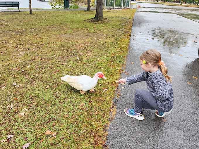 Making friends with the local wildlife, one curious duck at a time in this peaceful corner.