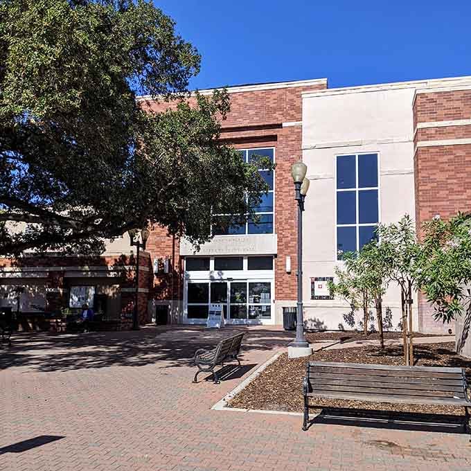 The library provides books and quiet, two increasingly rare commodities in our notification-obsessed world of chaos.