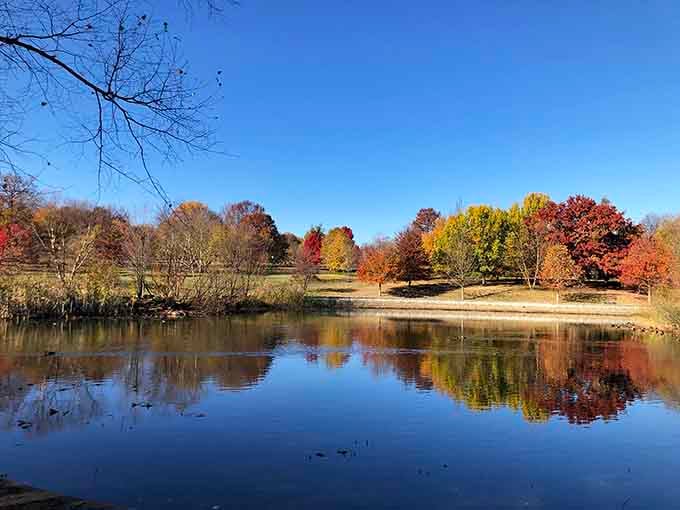 Autumn reflections double the beauty as the lake mirrors every red, orange, and yellow leaf in perfect symmetry.