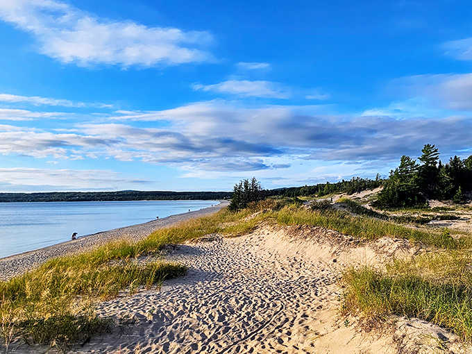 Petoskey State Park's beaches stretch endlessly, offering sand, stones, and the kind of peace money can't buy elsewhere.