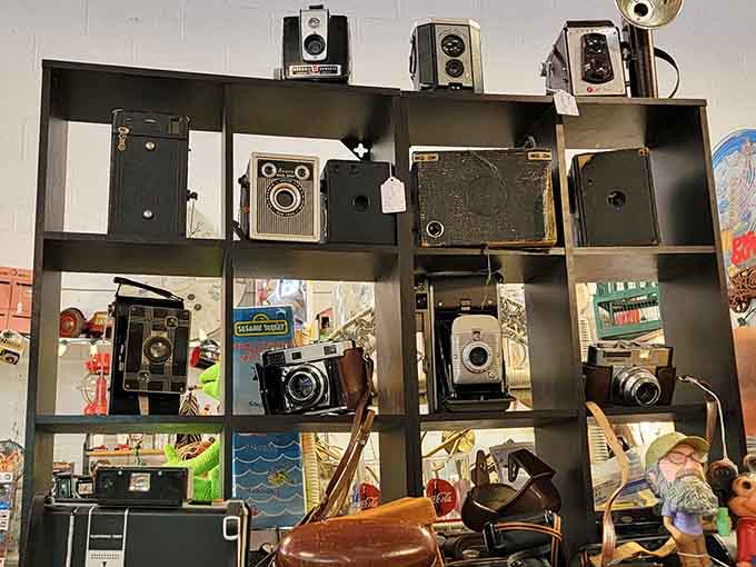 These vintage cameras captured memories before smartphones made everyone think they were professional photographers with filters.