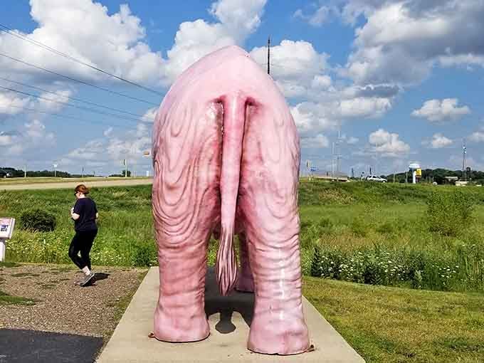 Yes, that's the business end of a pink elephant, and yes, it's exactly as surreal as expected.
