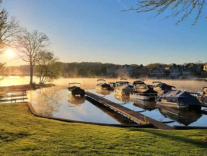 Morning mist rising off the marina like nature's own special effects department went overtime.