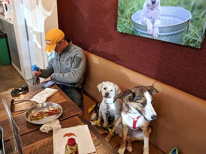 When your dogs have better table manners than most humans, you know you've found the right spot.