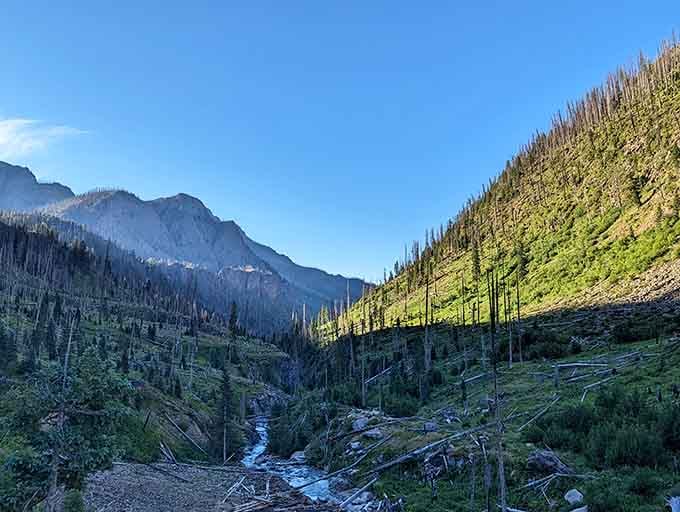 Morning light illuminates the canyon walls, revealing layers of geological history that predate your mortgage by several million years.