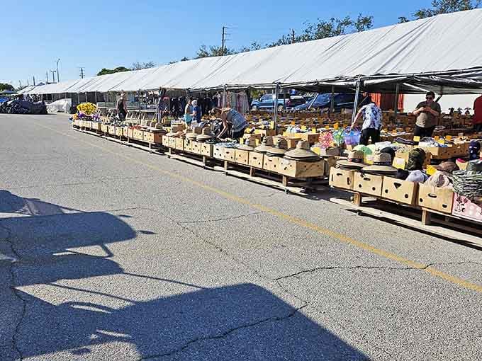 Outdoor stalls stretch endlessly, where sunshine and bargains meet in perfect Florida harmony.